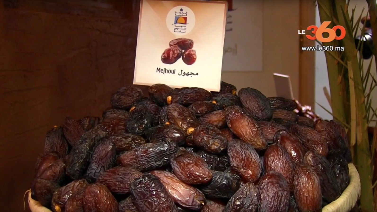 بالفيديو: افتتاح معرض التمور بأرفود | www.le360.ma
