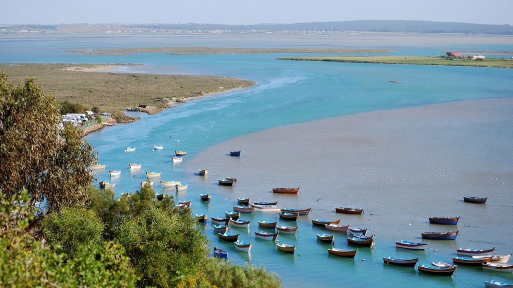 Moulay Bousselham: une catastrophe écologique menace Merja Zerga | www ...