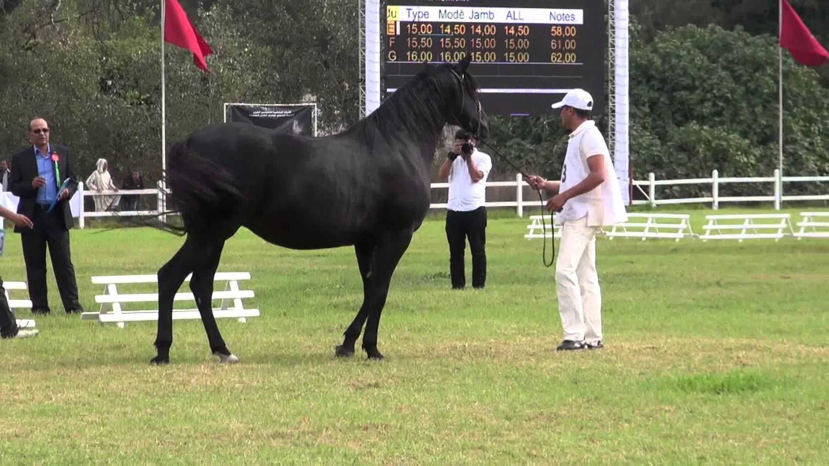 La SOREC inaugure la 1e édition du meeting international du barbe et ...