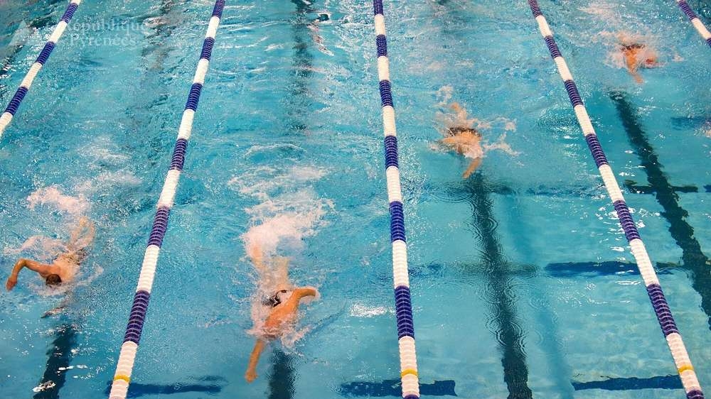 JO de Tokyo: la natation nationale face au défi de la qualification