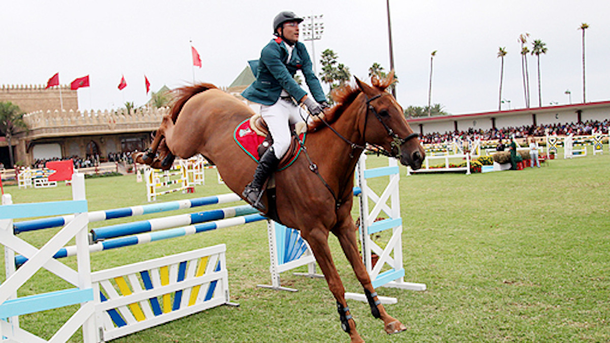 Saut d’obstacles: coup d’envoi à Témara du Grand Prix SM le Roi Mohammed VI